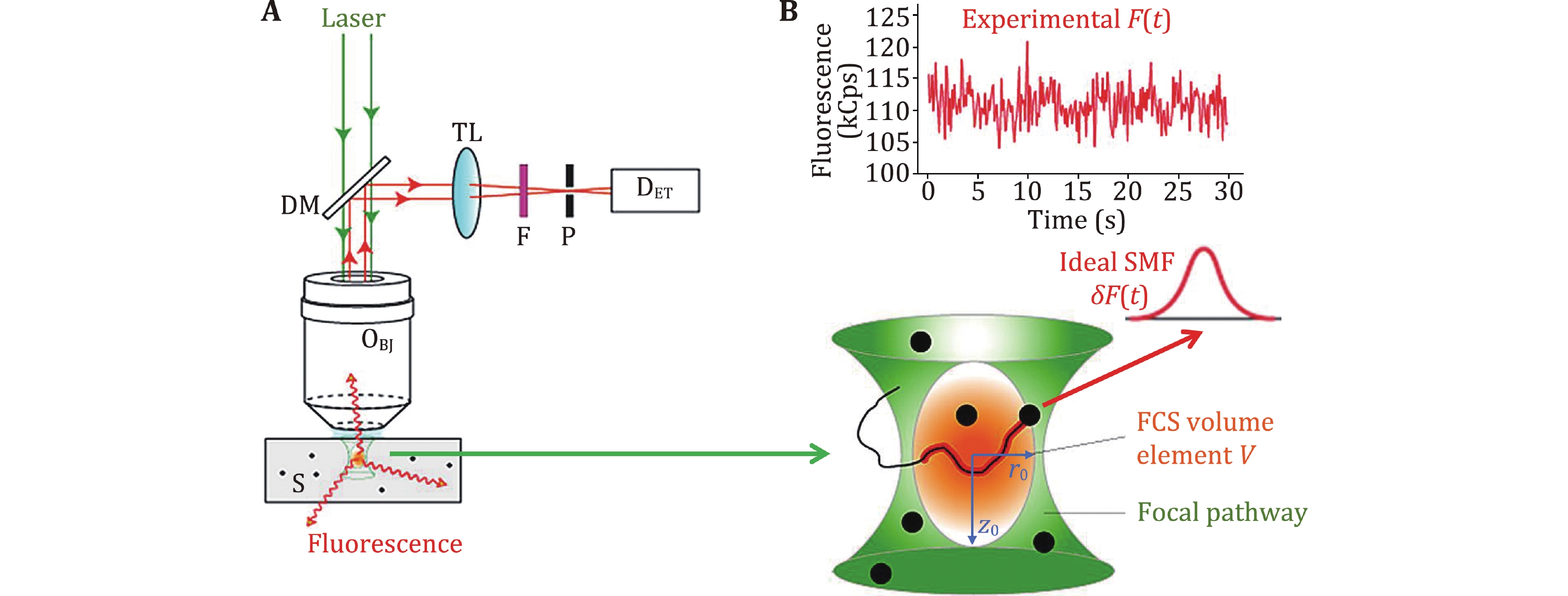 Fluorescence Spectroscopy Biophysics at Diana Longoria blog