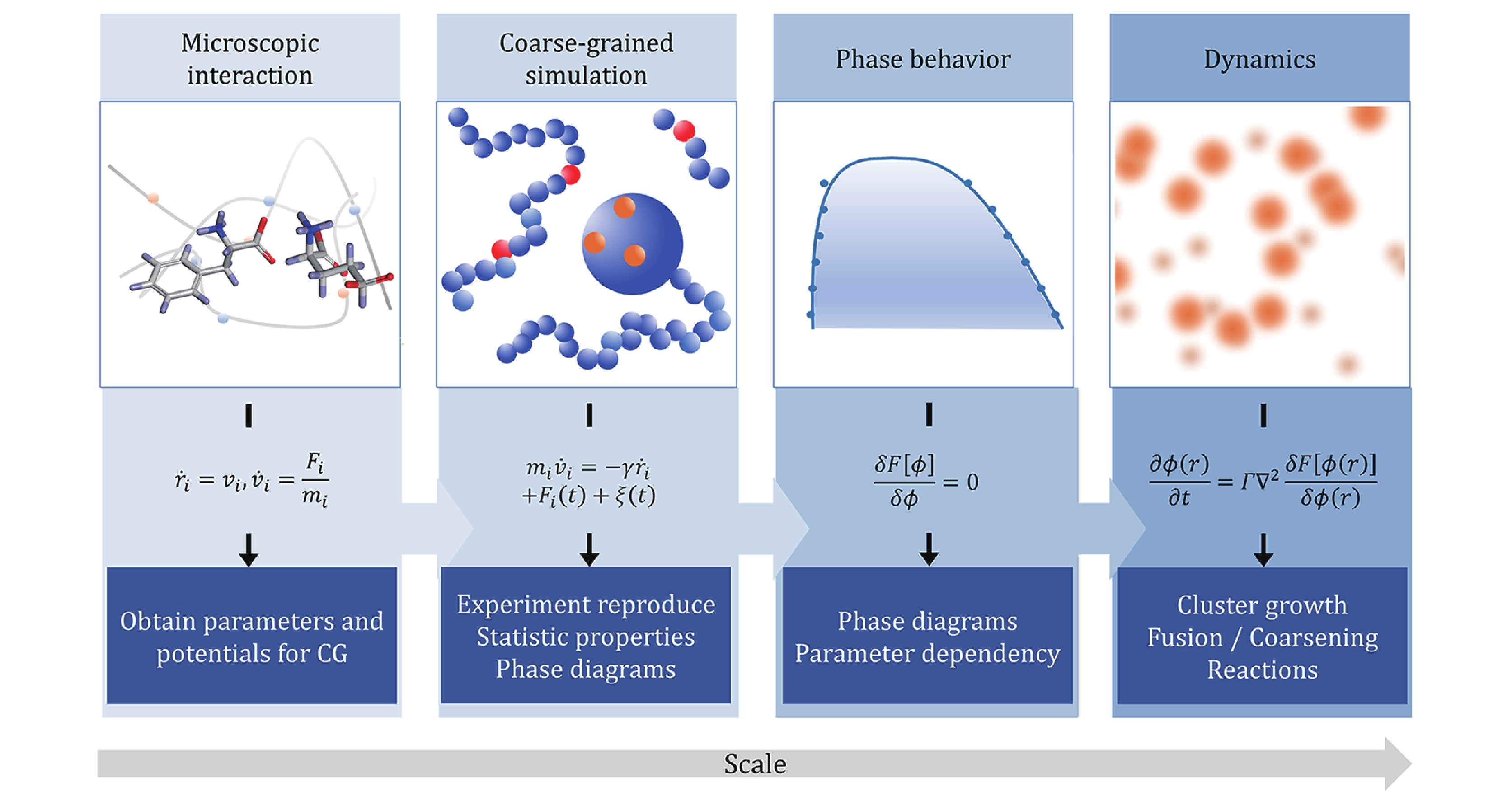 Theoretical modelling of liquid–liquid phase separation: from particle ...