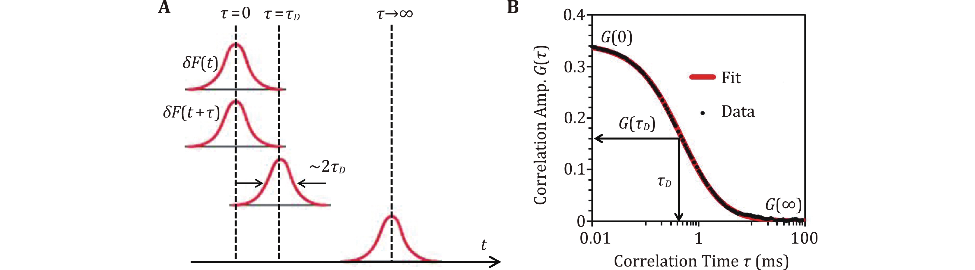 Principles of fluorescence correlation spectroscopy applied to studies ...