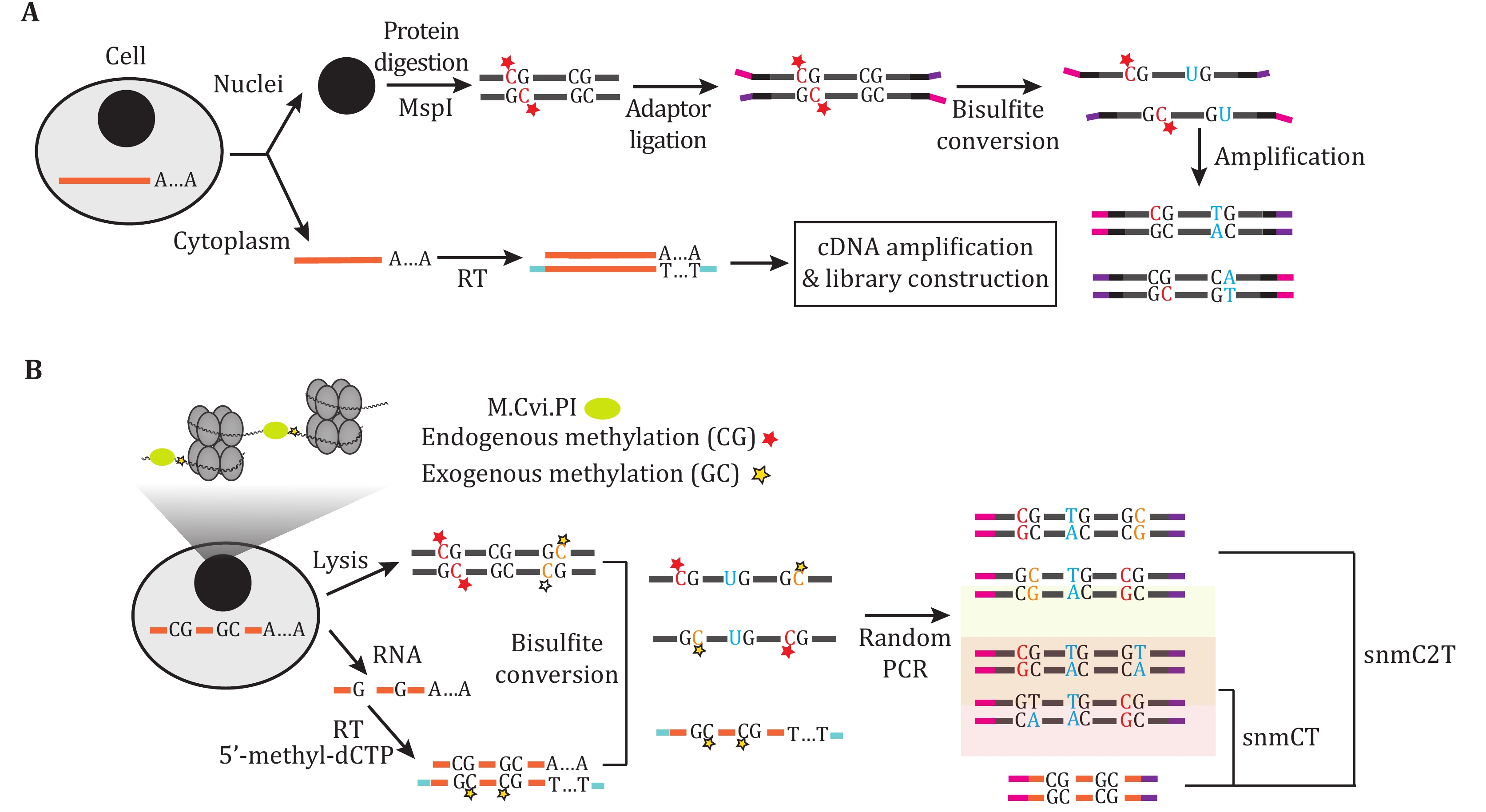 Single-cell multi-omics sequencing and its applications in studying the ...