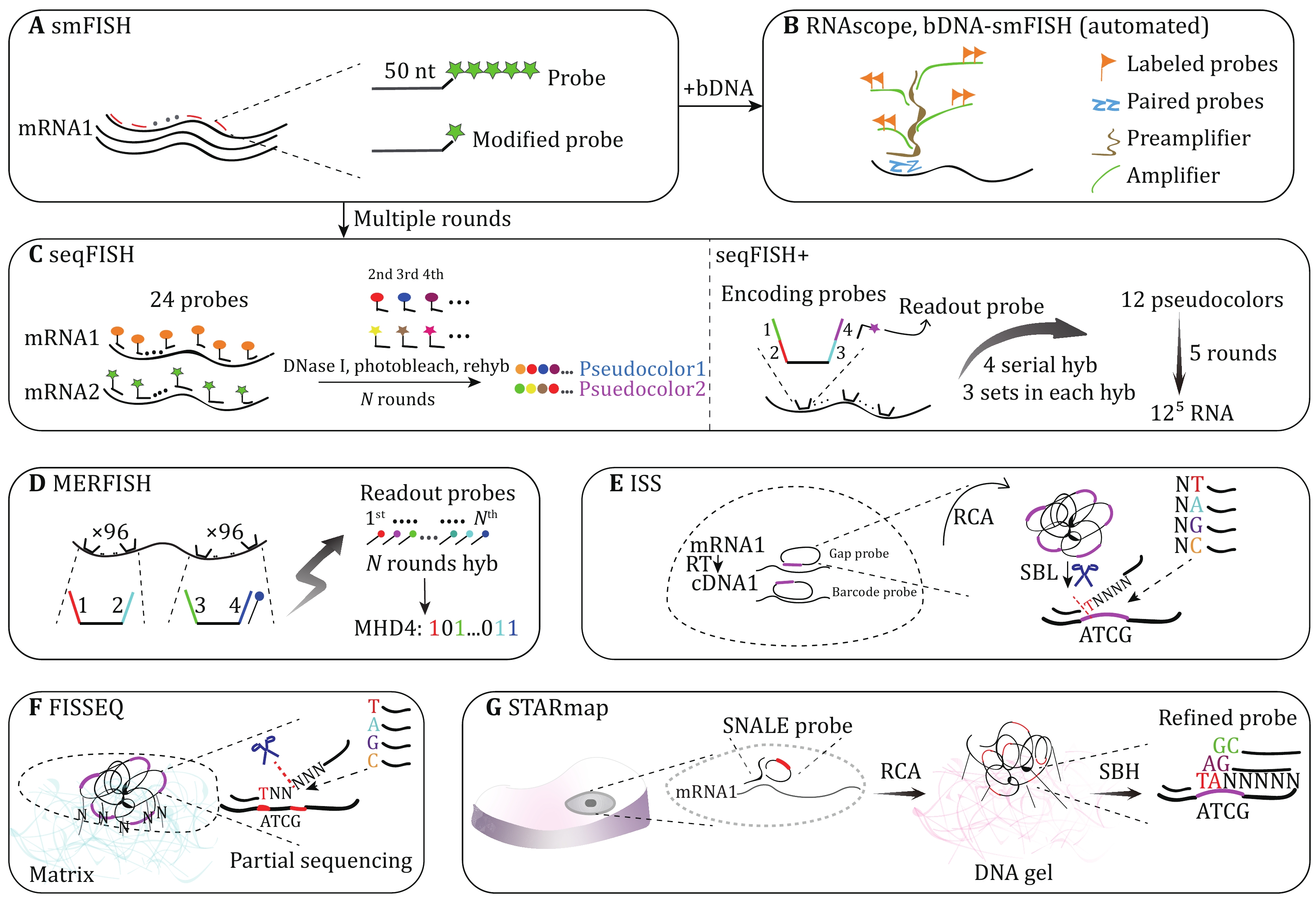 Spatial transcriptomics: new dimension of understanding biological ...