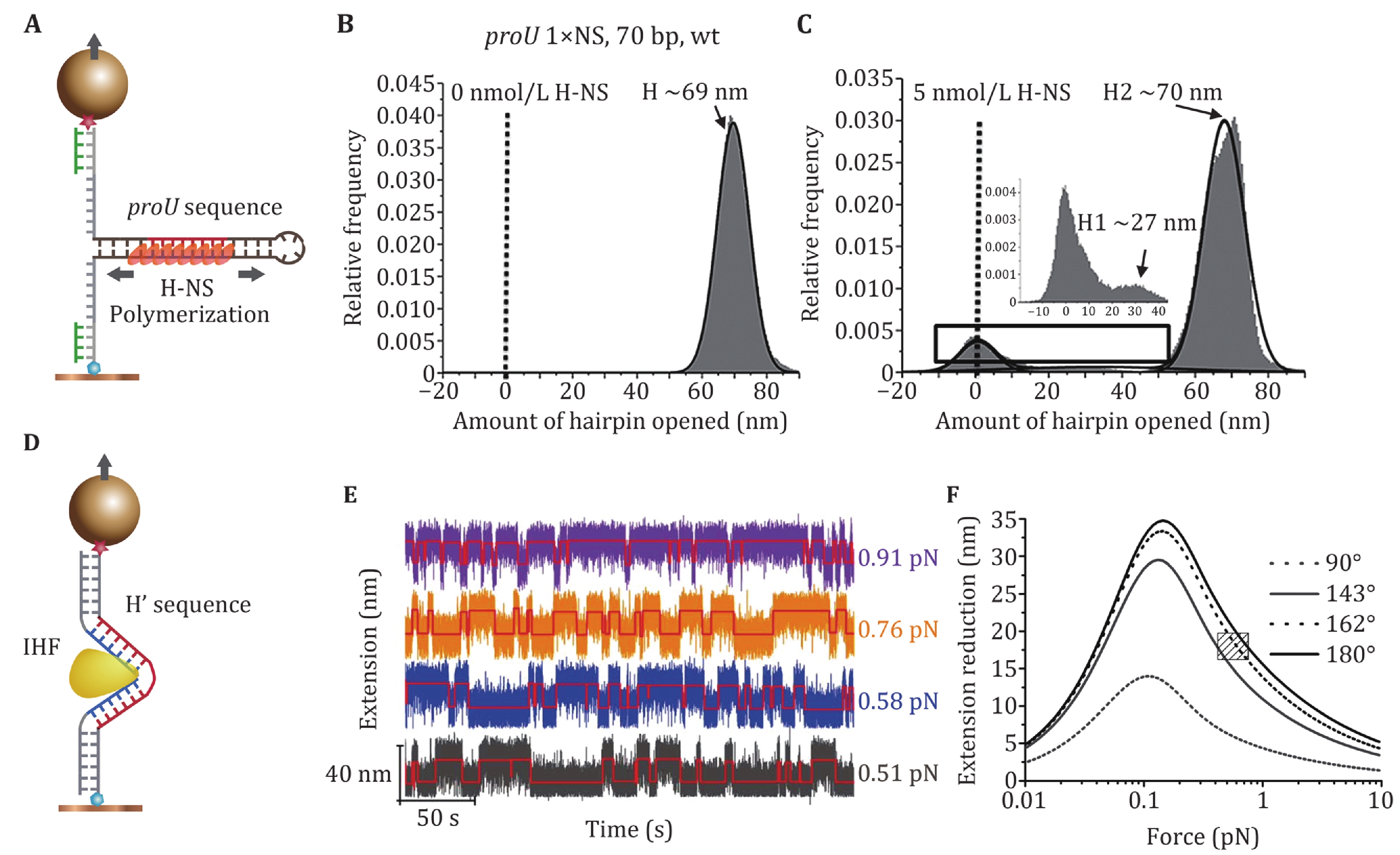 DNA-binding proteins studied by mechanical manipulation and AFM imaging ...