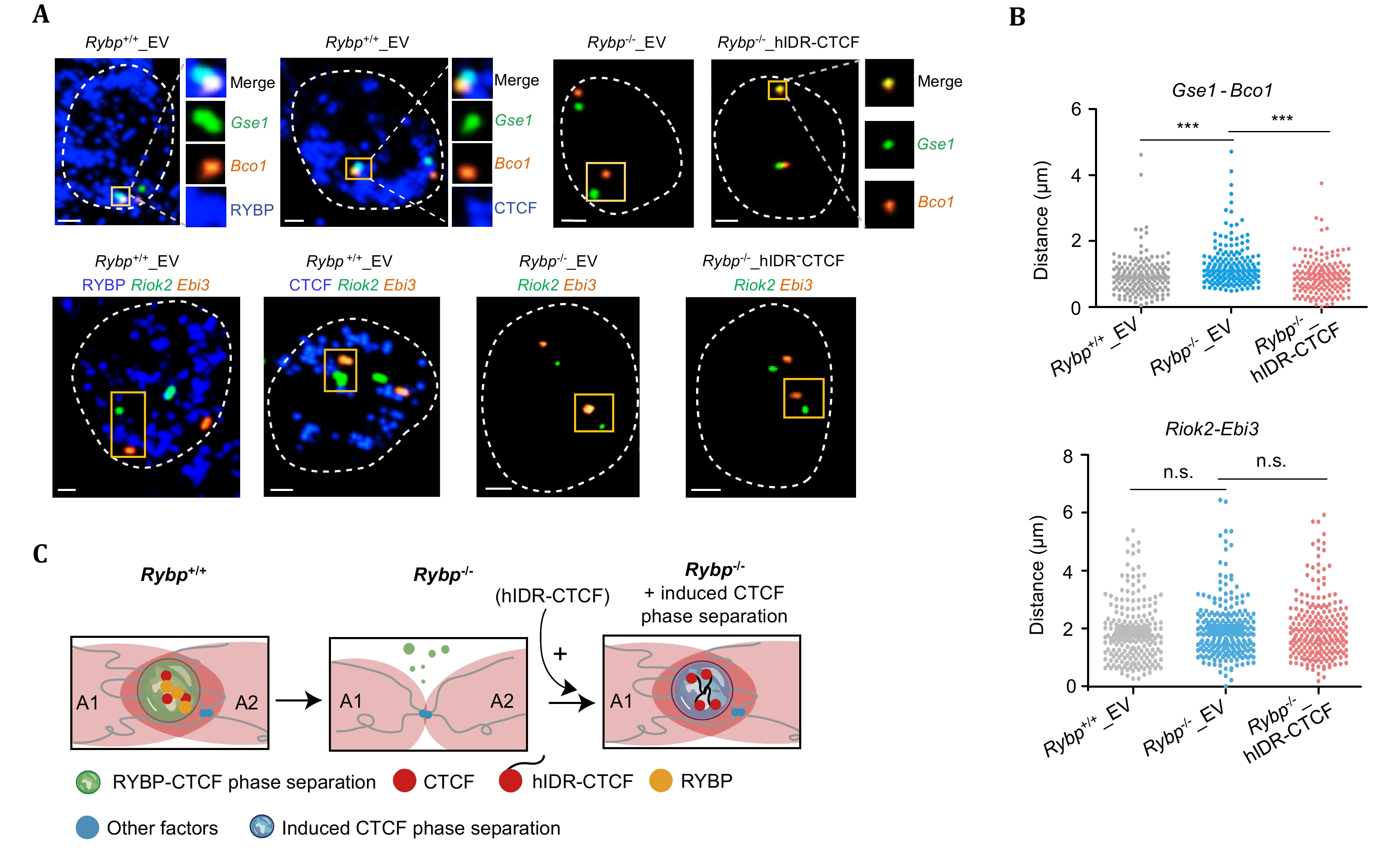 (Tn5-)FISH-based imaging in the era of 3D/spatial genomics