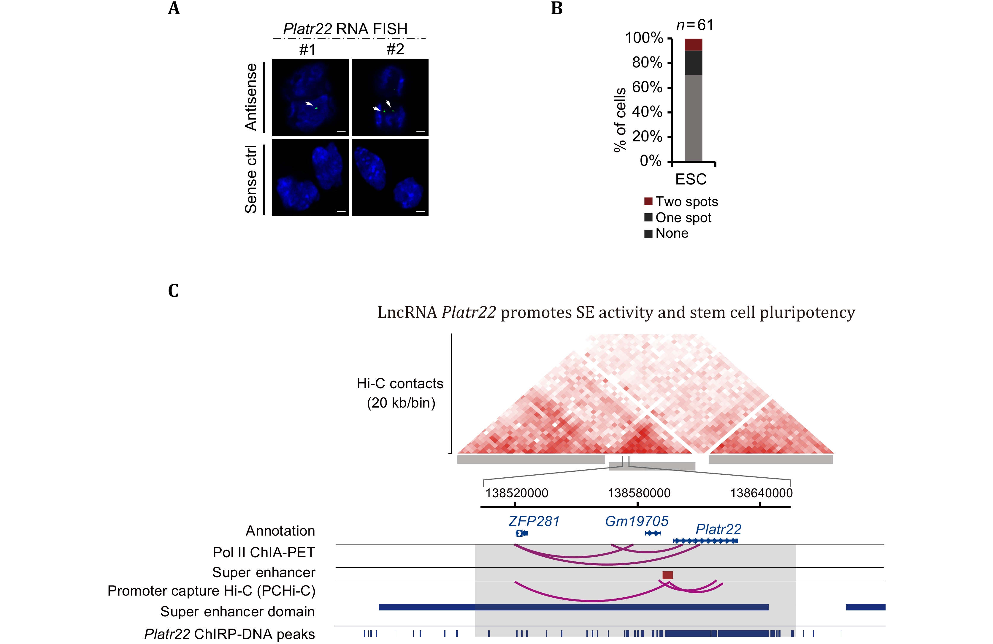 (Tn5-)FISH-based imaging in the era of 3D/spatial genomics
