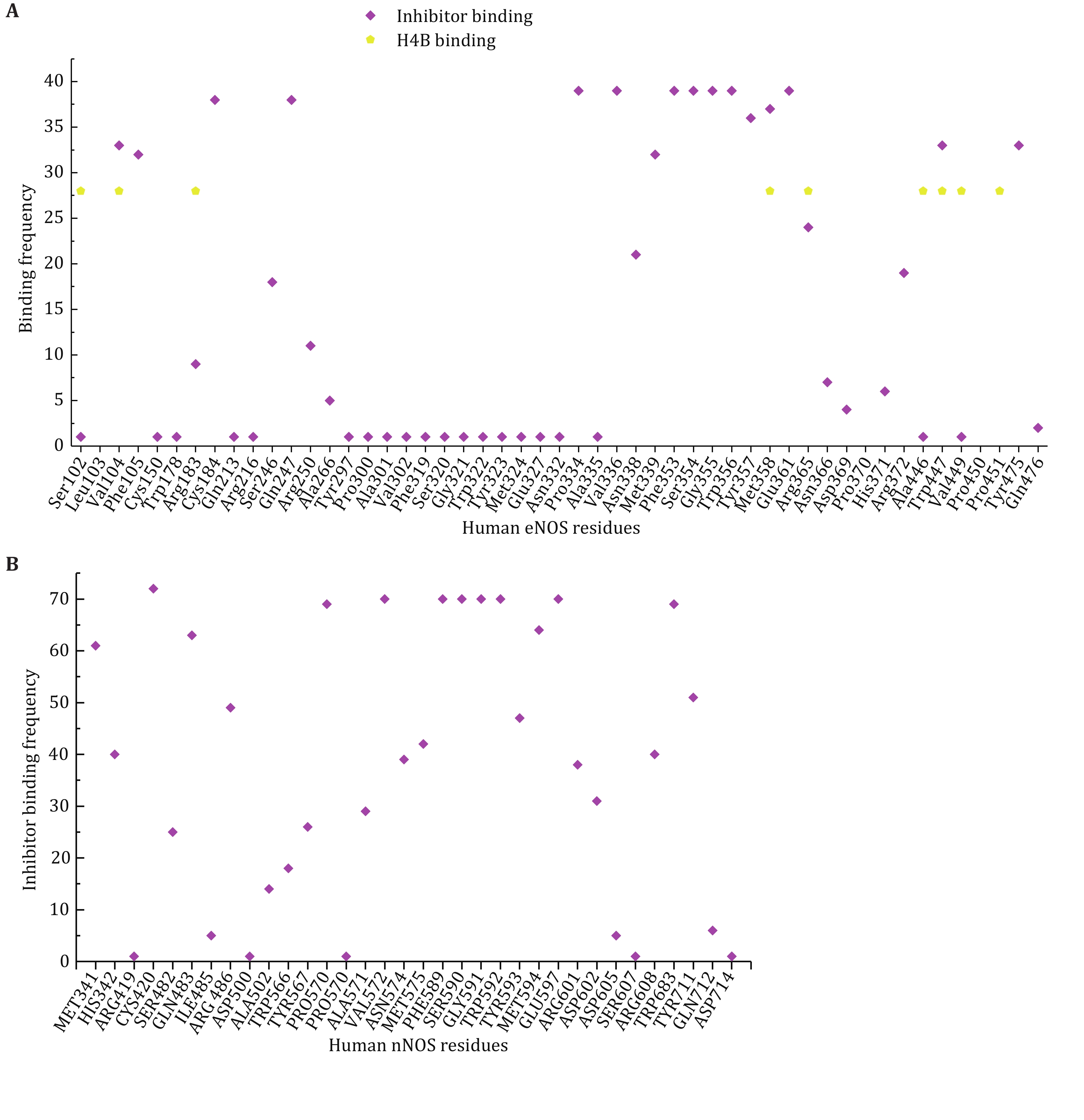 Insights into human eNOS, nNOS and iNOS structures and medicinal ...
