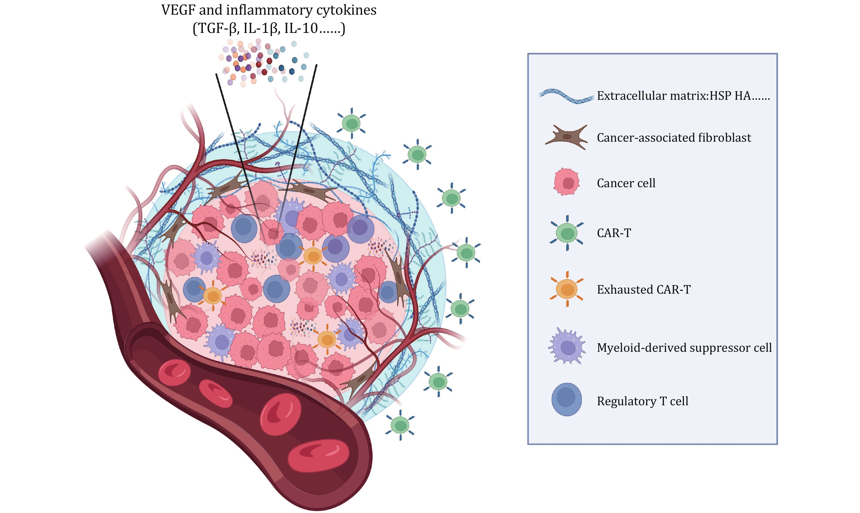 CAR designs for solid tumors: overcoming hurdles and paving the way for ...